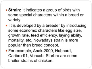 Introduction to poultry production | PPTX