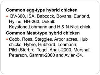 Introduction to poultry production | PPTX