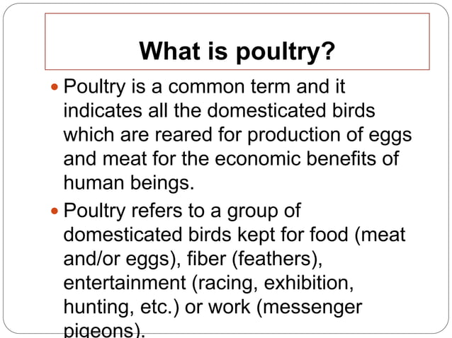 Introduction to poultry production | PPTX