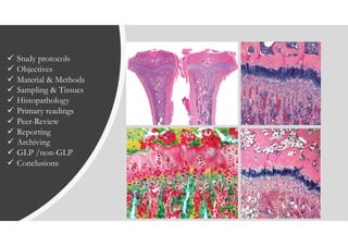 Introduction to Preclinical Toxicological Pathology | PDF