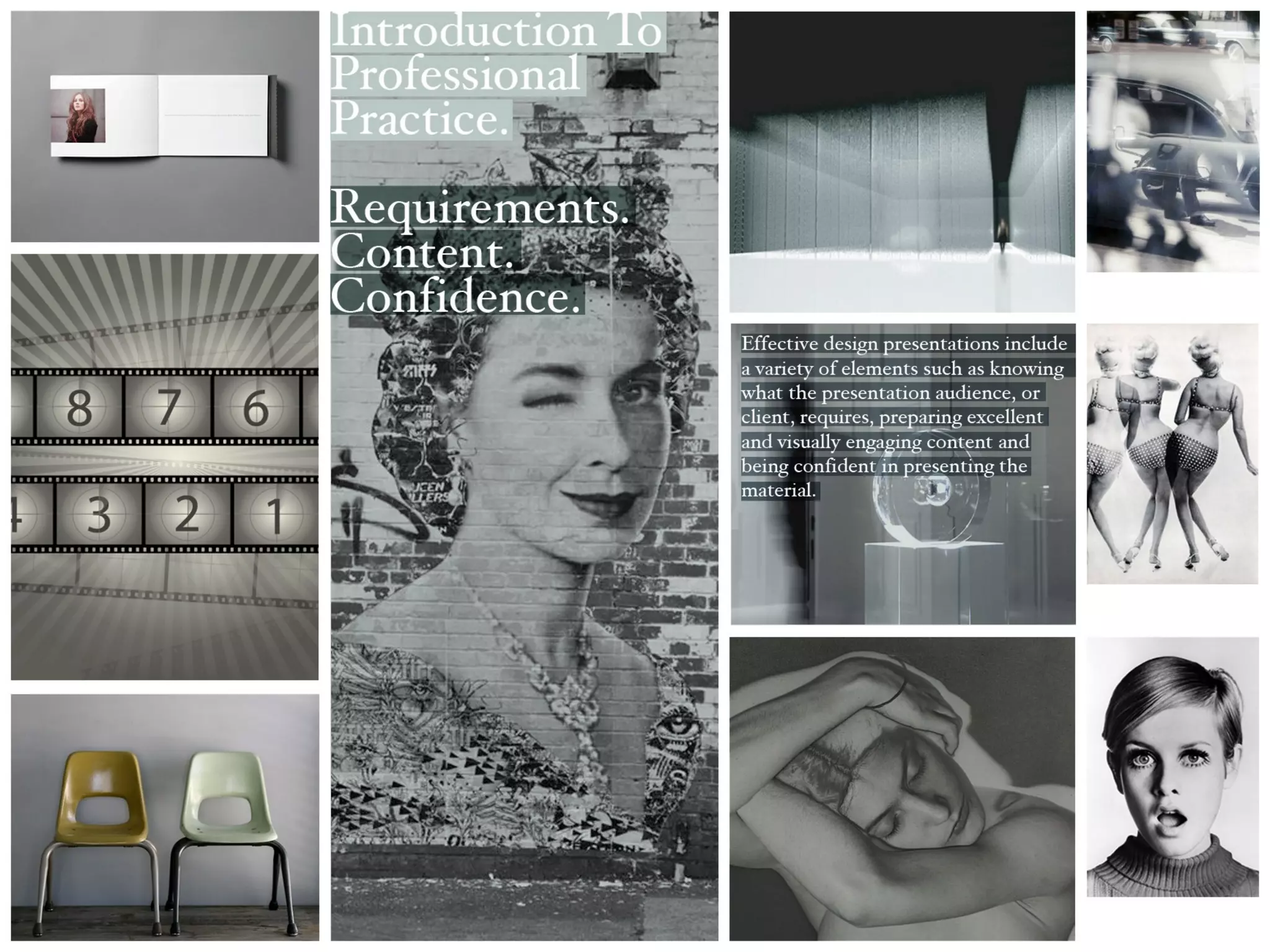 Introduction To Professional Practice | PPT