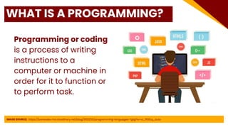 Introduction to Programming and Languages.pdf