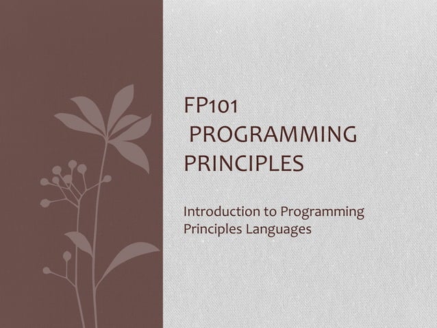 Introduction to programming principles languages | PPT