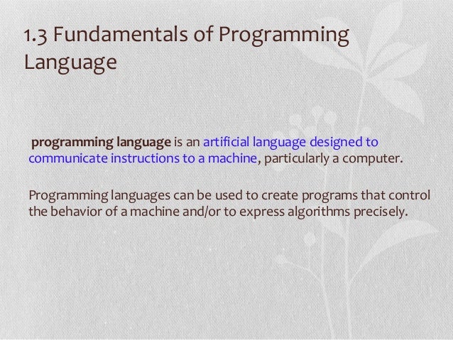 Introduction To Programming Principles Languages