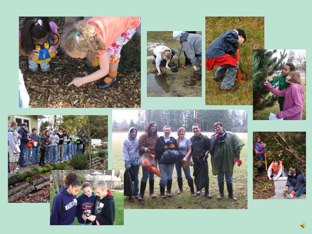 Introduction to Project Based Learning | PDF