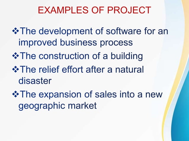 Introduction to Project Management.pdf | Business | Business and Finance