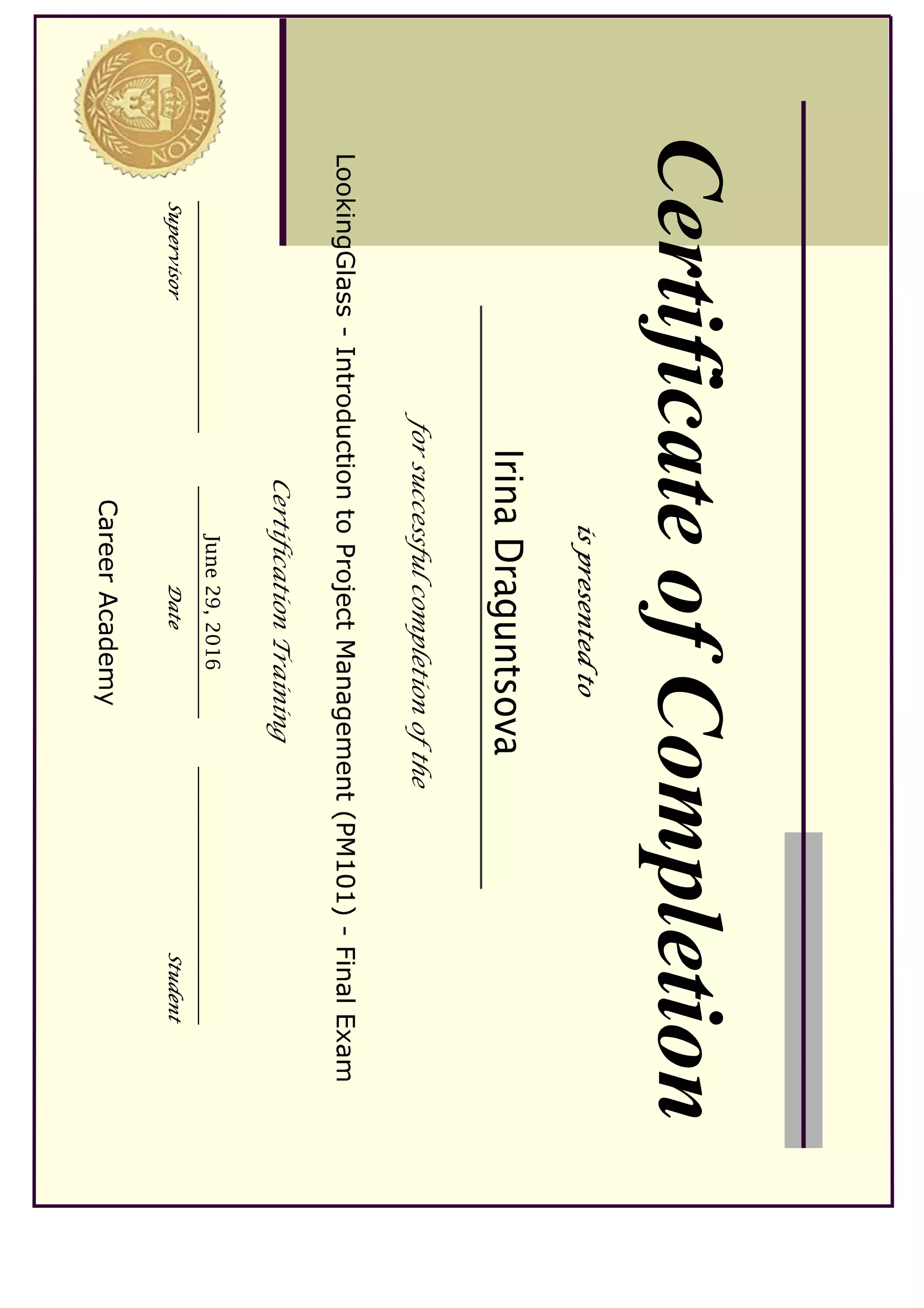 Introduction to project management (pm101) final exam | PDF