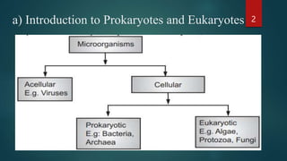 Introduction to Prokaryote and Eukaryote | PPTX