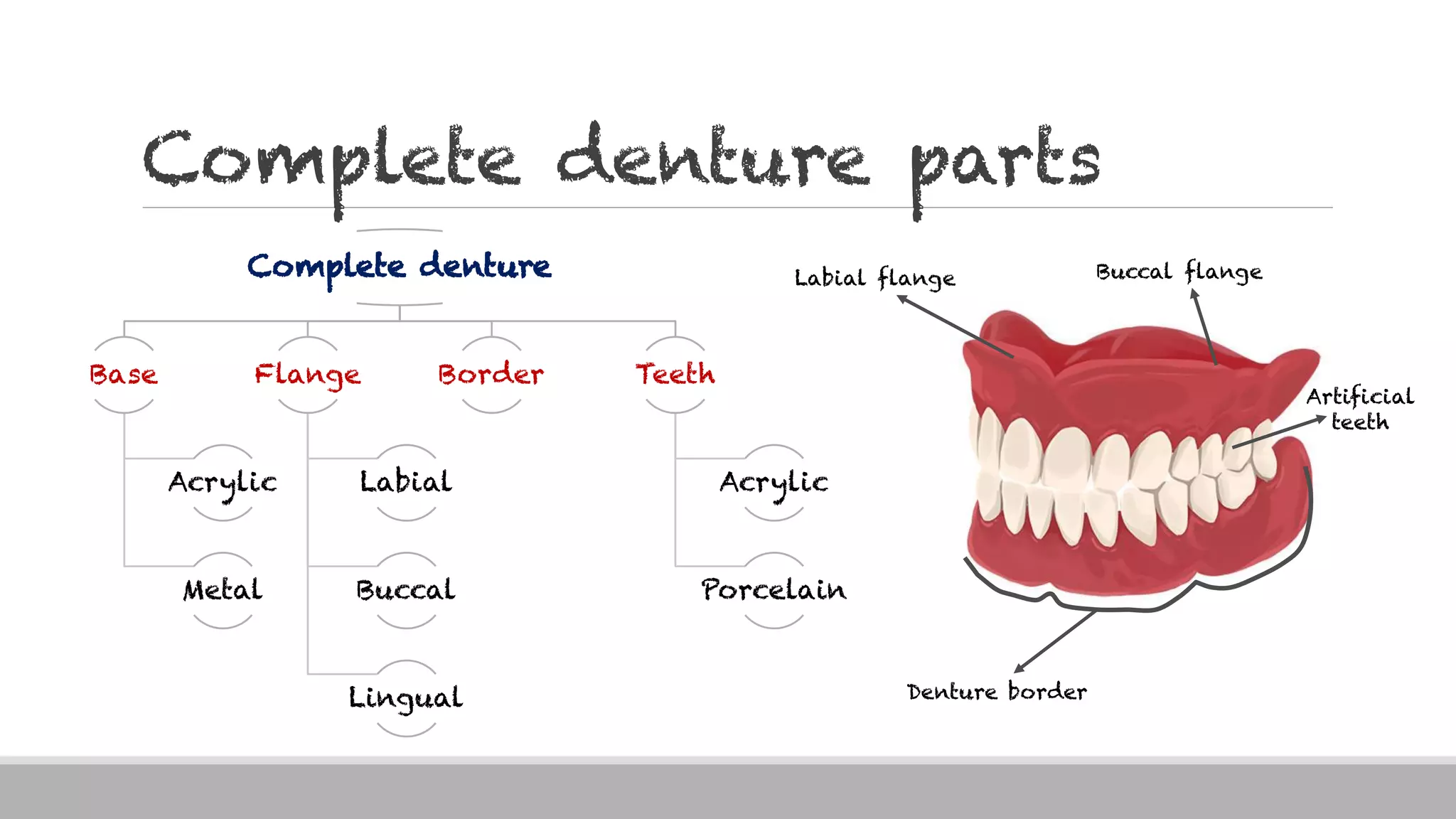 INTRODUCTION TO PROSTHODONTICS AND COMPLETE DENTURES | PDF