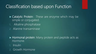 Introduction to protein and classification by sohail | PPT