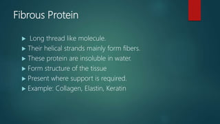 Introduction to protein and classification by sohail | PPT