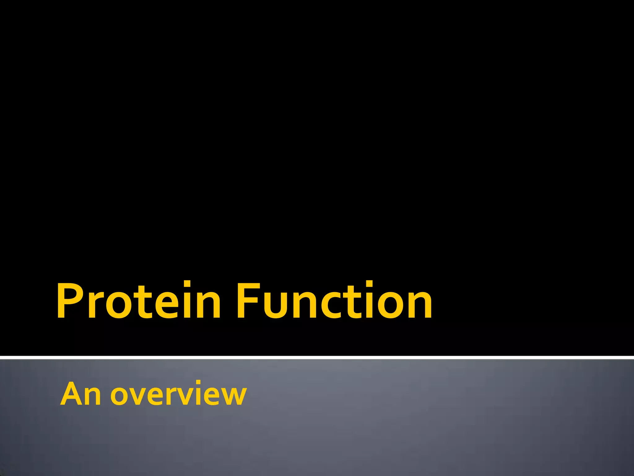 Introduction to proteins | PPTX | Chemistry | Science