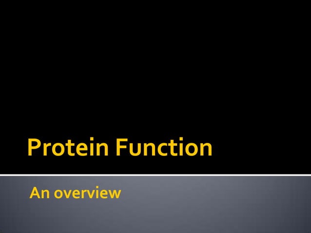 Introduction to proteins | PPTX | Chemistry | Science