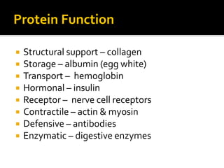 Introduction to proteins | PPTX