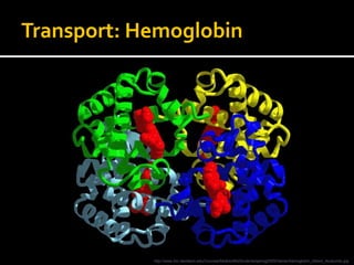 Introduction to proteins | PPT