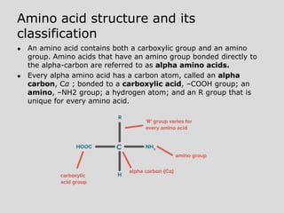 Introduction_to_proteins_and_amino_acids.pdf