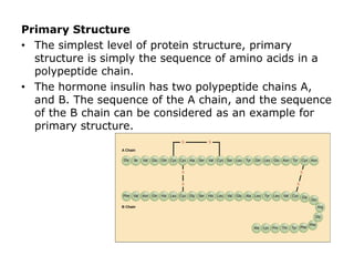Introduction_to_proteins_and_amino_acids (1).pdf