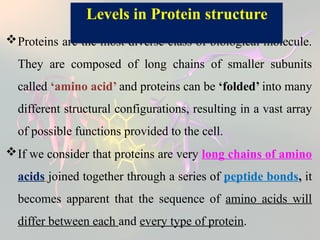 Introduction to Proteins , its importance and four level structure of ...