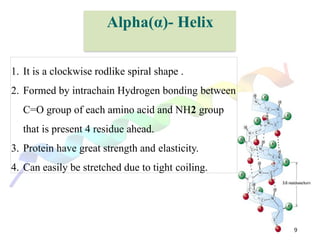 Introduction to Proteins , its importance and four level structure of ...