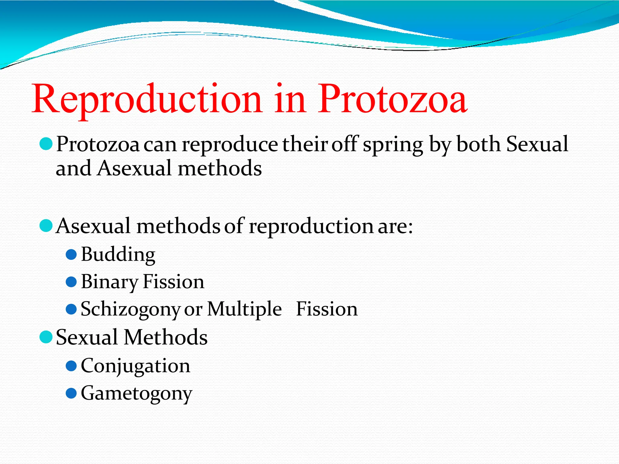 introduction to protozoa.pptx medical parasitology | PPTX