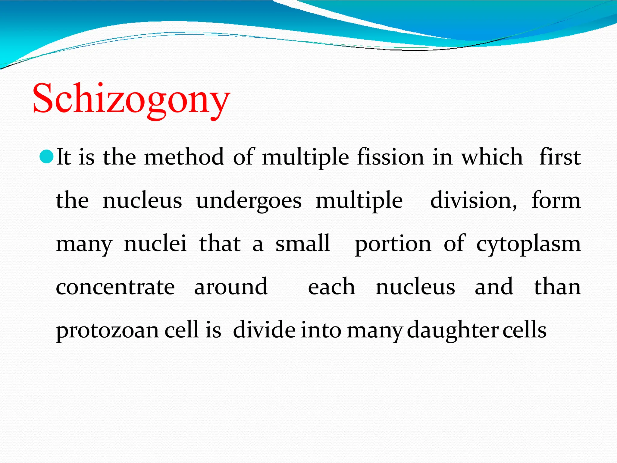 introduction to protozoa.pptx medical parasitology | PPTX