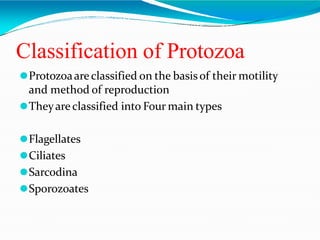 introduction to protozoa.pptx medical parasitology | PPTX