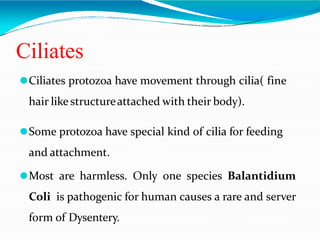 introduction to protozoa.pptx medical parasitology | PPTX