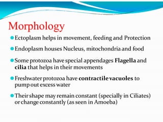 introduction to protozoa.pptx medical parasitology | PPTX