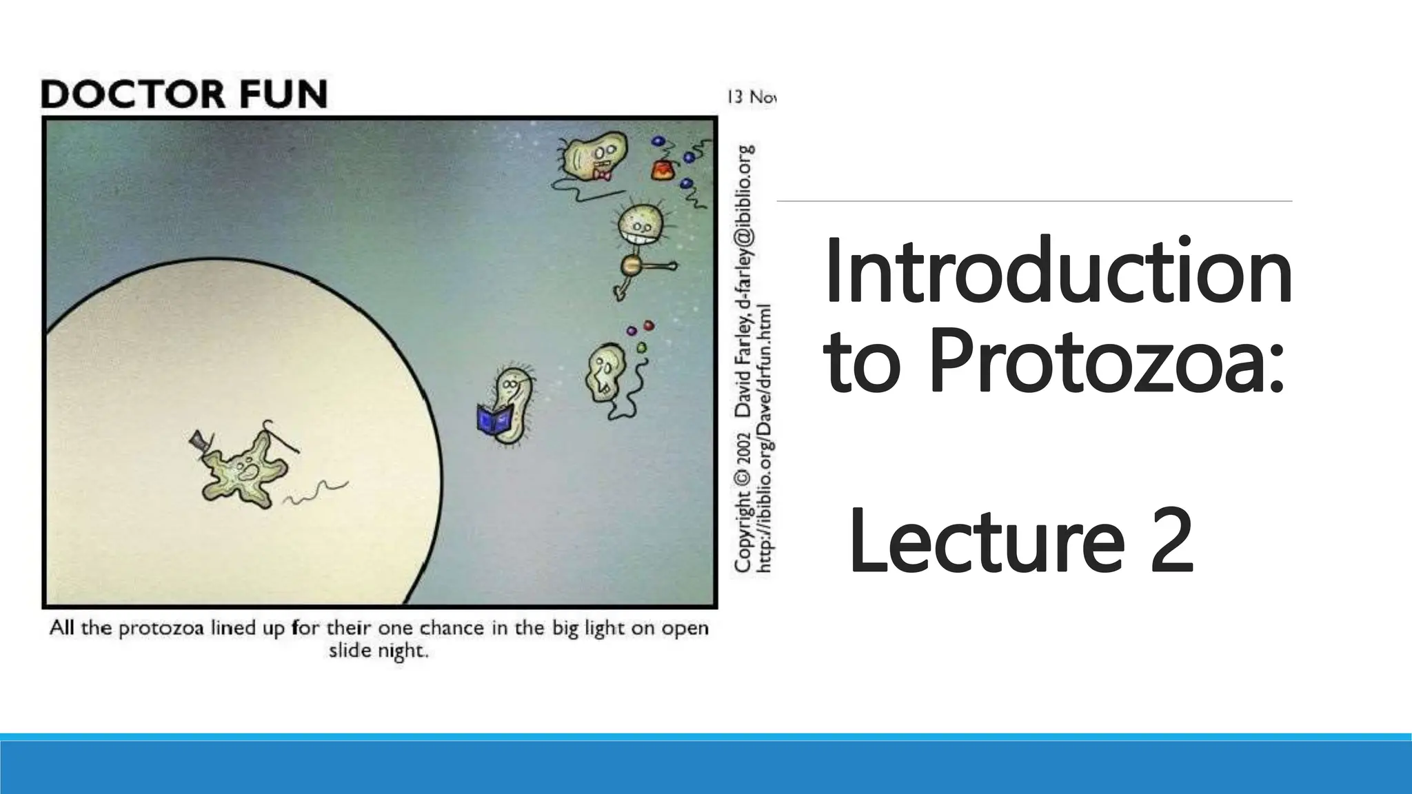 Introduction to protozoa, biology, control | PPTX
