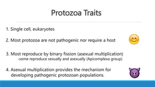 Introduction to protozoa, biology, control | PPTX