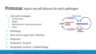 Introduction to protozoa, biology, control | PPTX