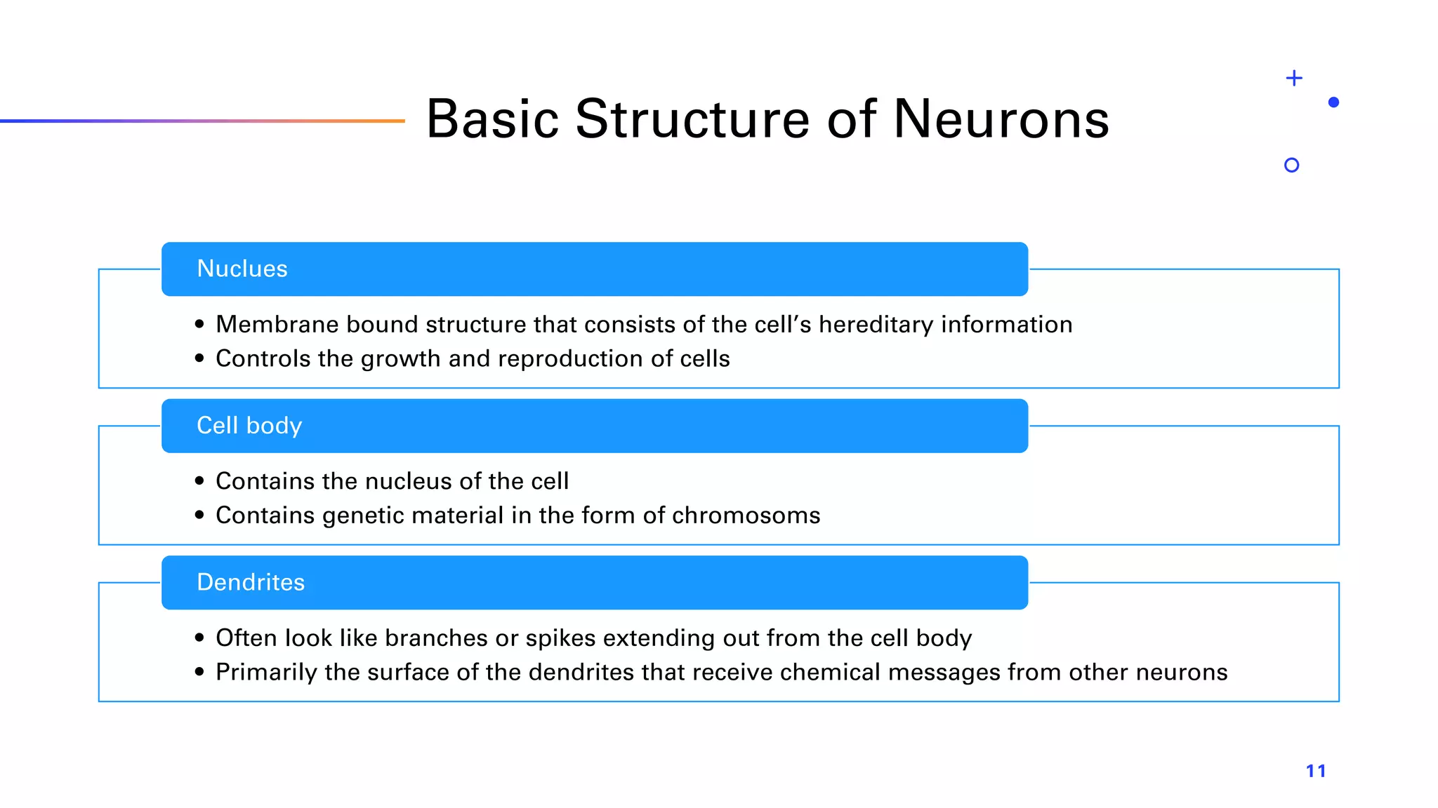Introduction to Psychology - Topic 2 - Biological Psychology | PDF