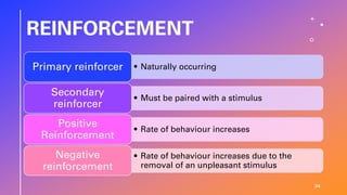 Introduction to Psychology - Topic 5 - Learning | PDF
