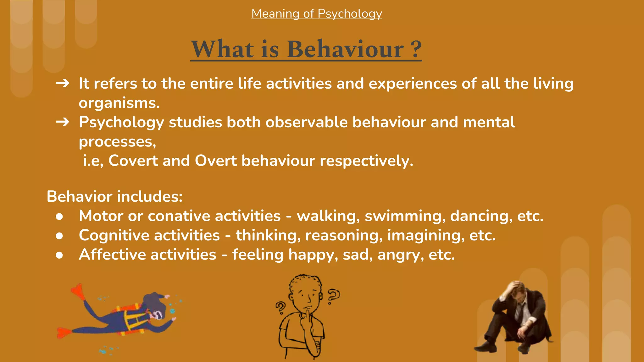 Introduction to Psychology .pptx