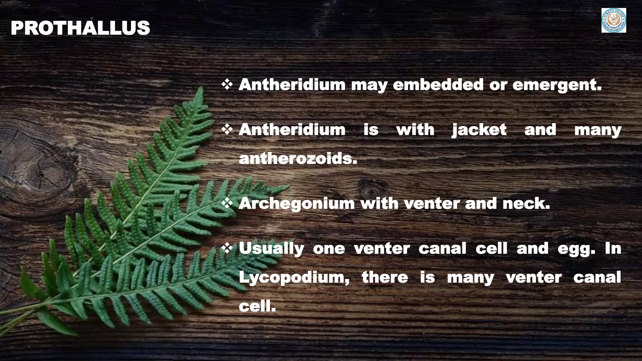 Introduction to pteridology | PDF