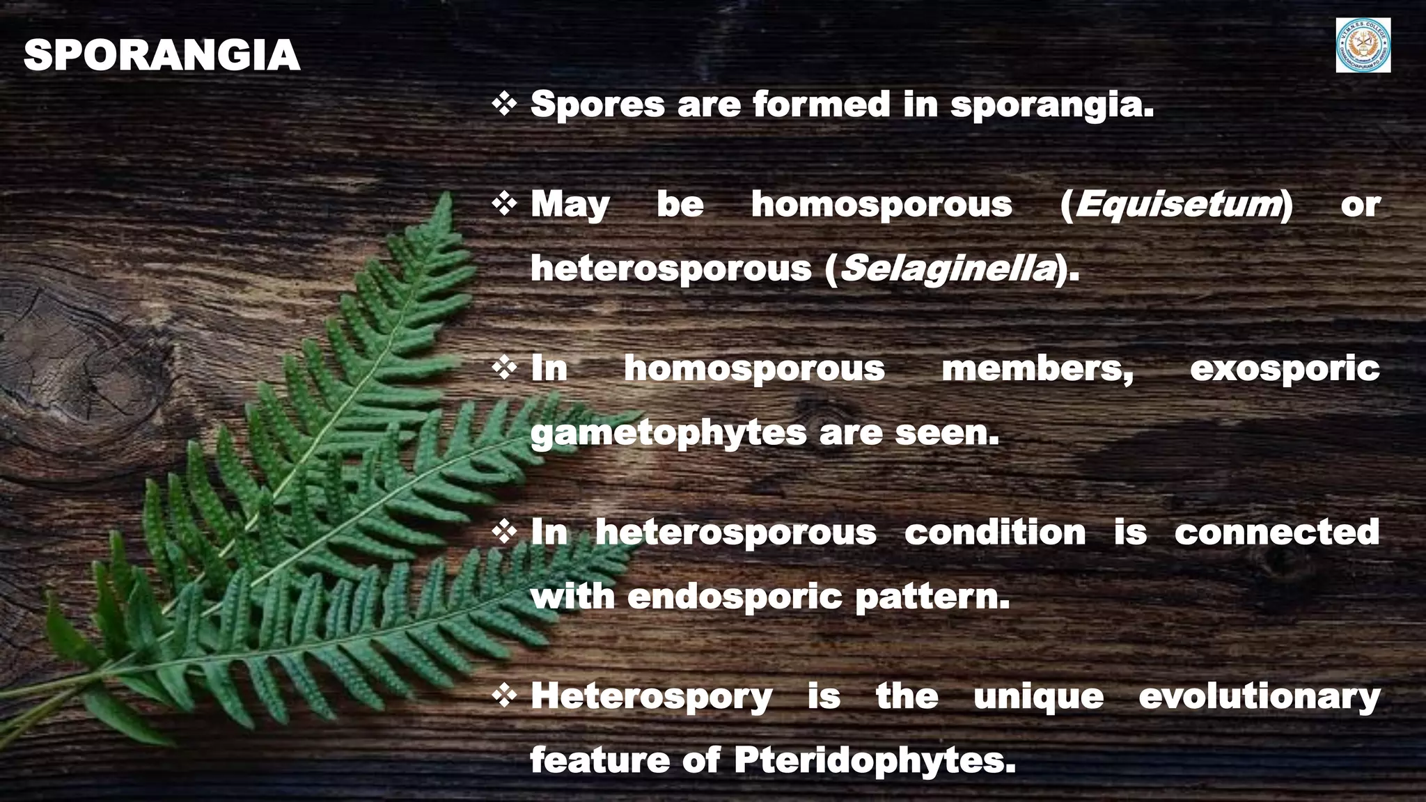 Introduction to pteridology | PDF