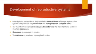 Introduction to puberty | PPTX | Endocrine and Metabolic Diseases ...