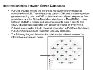 Introduction to Pubmed | PPT | Databases | Computer Software and Applications