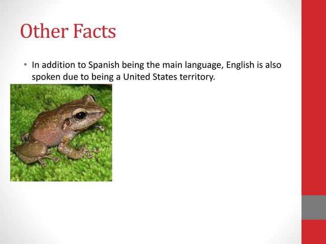 Introduction to Puerto Rico .pptx