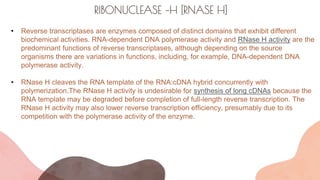 Introduction to rDNA Tecchnology.pptx