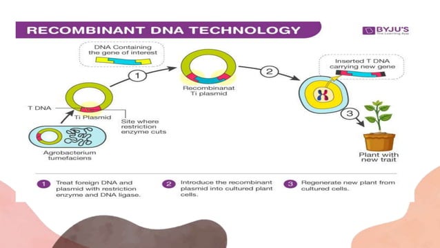 Introduction to rDNA Tecchnology.pptx