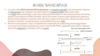 Introduction to rDNA Tecchnology.pptx