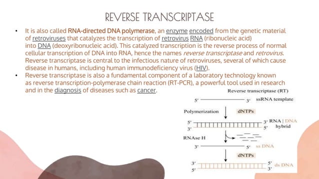 Introduction to rDNA Tecchnology.pptx
