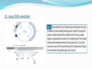 Introduction to RDT methods in genetic engineering | PPT