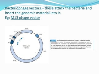 Introduction to RDT methods in genetic engineering | PPT