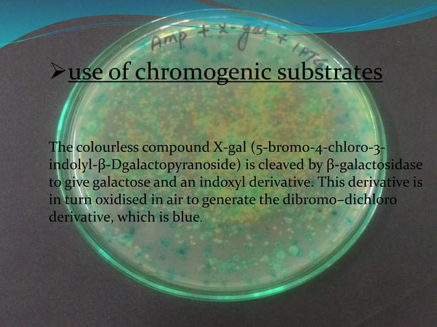 Introduction to RDT methods in genetic engineering | PPTX
