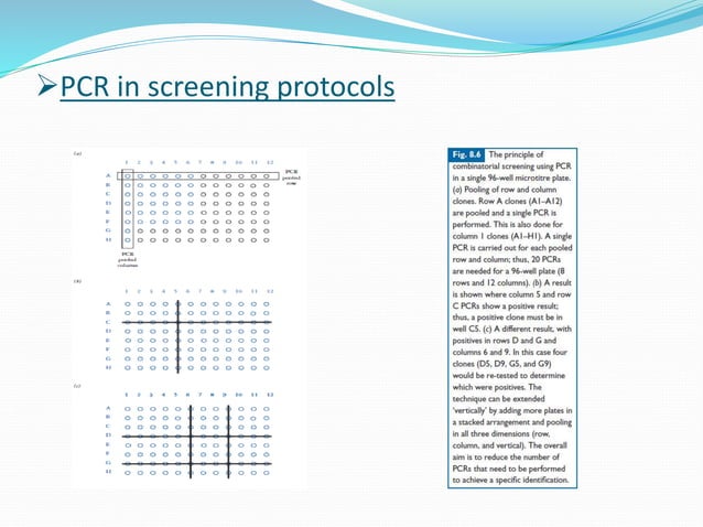 Introduction to RDT methods in genetic engineering | PPTX