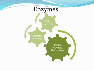 Introduction to RDT methods in genetic engineering | PPT