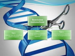 Introduction to RDT methods in genetic engineering | PPT