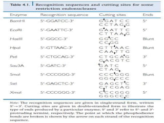 Introduction to RDT methods in genetic engineering | PPT